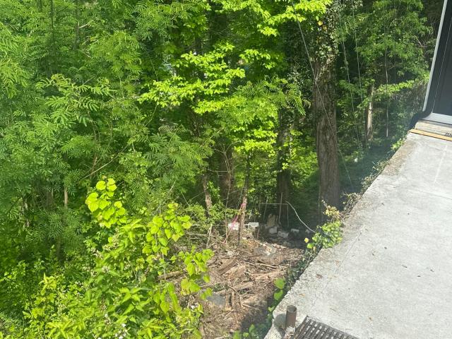 519 Cherokee Orchard Rd