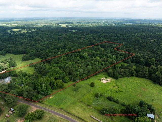 519 An County Road 450, Palestine, TX 75803