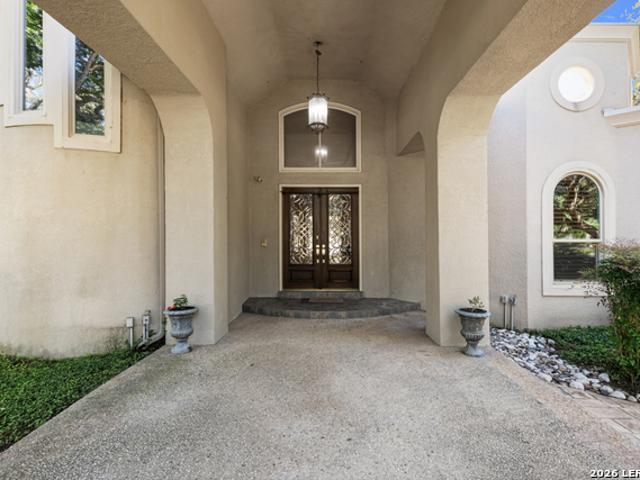 519 Blackjack Oak