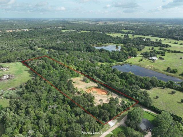 519 Sunflower Ln, New Ulm, TX 78950