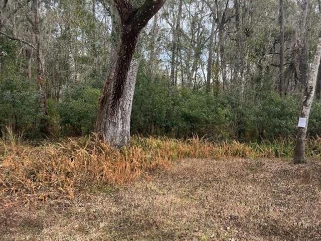 519 Ward Ave, Brooksville, FL 34601 | MLS #S5143