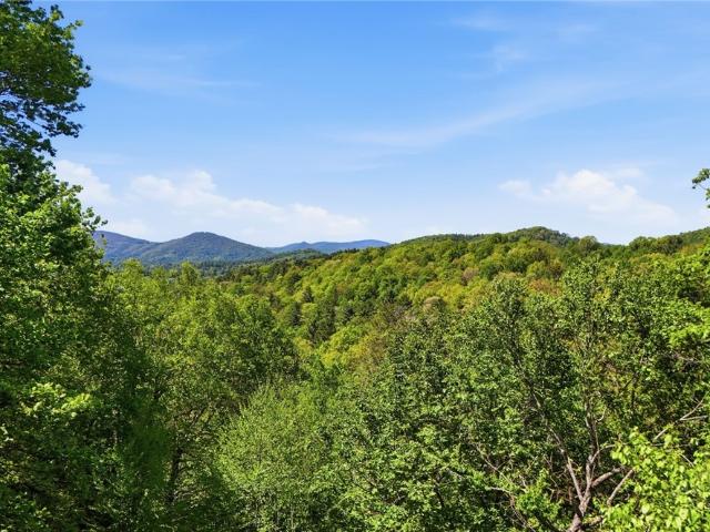519 Wintergreen Drive