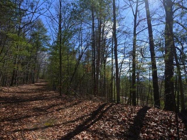 51 53 Hickory Ln Lot 51 53, Robbinsville, NC 28771