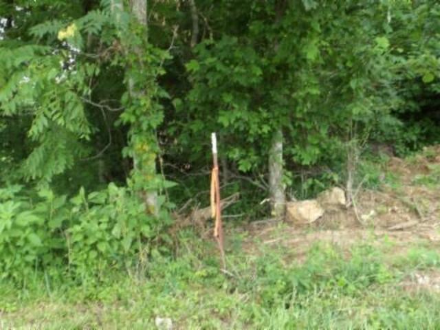 51.30ac Livingston Hwy
