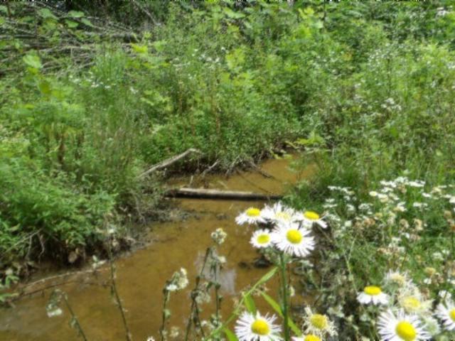 51.30ac Livingston Hwy