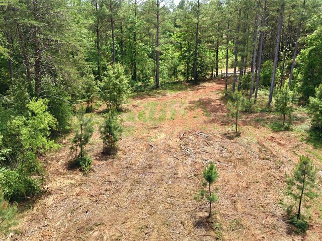 51.3 Acres Hall Road