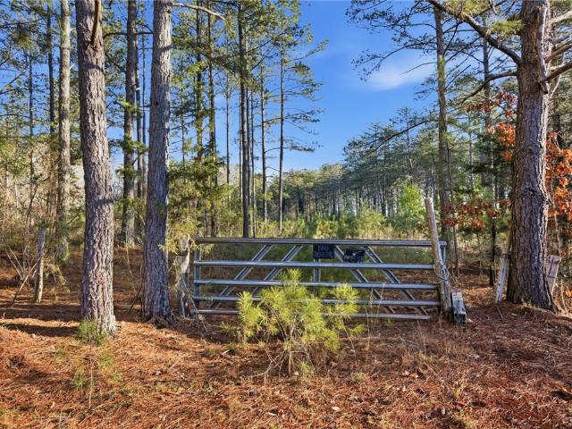 51.3 Acres Hall Road