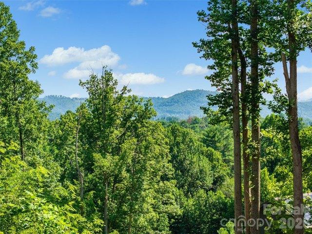 51 Wind Stone Dr, Asheville, NC 28804