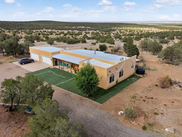 51 Wolf Trail