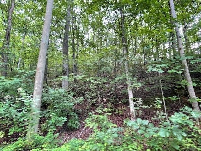 51 Yellowwood Dr, Sevierville, TN 37876