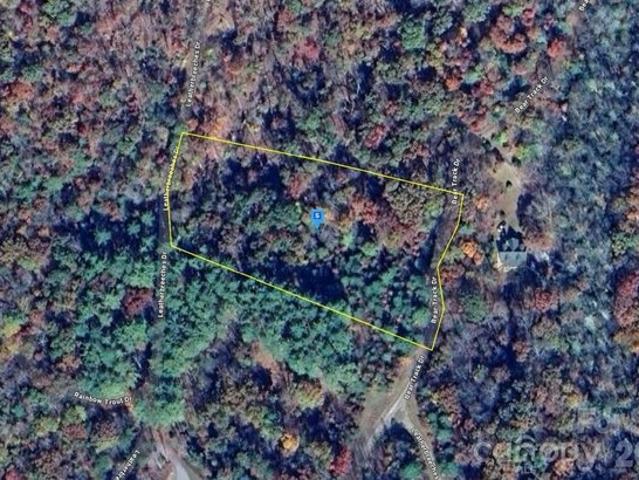 51 Bear Track Dr, Tuckasegee, NC 28783
