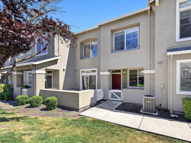 51 Bellington Cmn 3