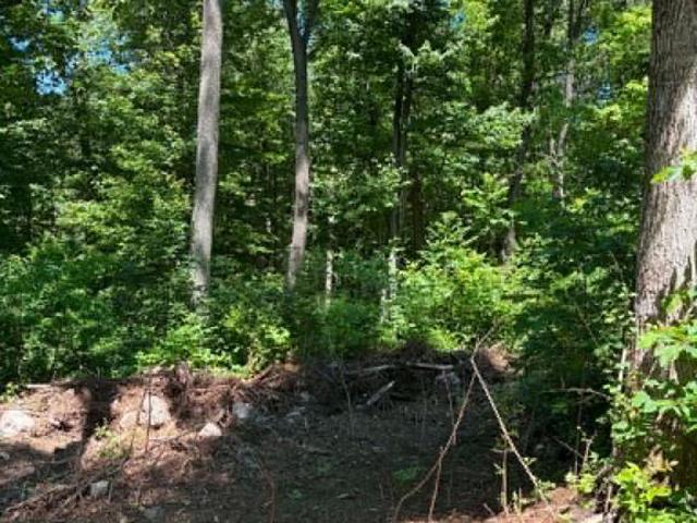 51 Cabin Road