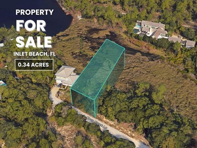 51 Cove Creek Ln, Inlet Beach, FL 32461