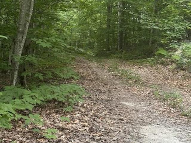 51 Crane View Dr, Salisbury, VT 05769
