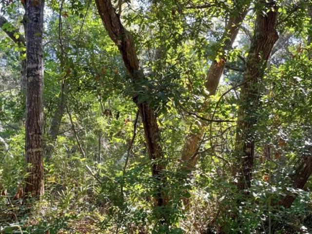 51 Fort Holmes Trl Lot 711, Bald Head Island, NC 28461