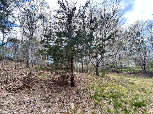 51 Forest Pines Drive