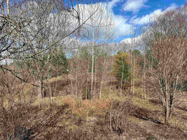 51 Hodge Hill Rd, Unit 25, Lisbon, NH 03585 | MLS #5038 | Compass