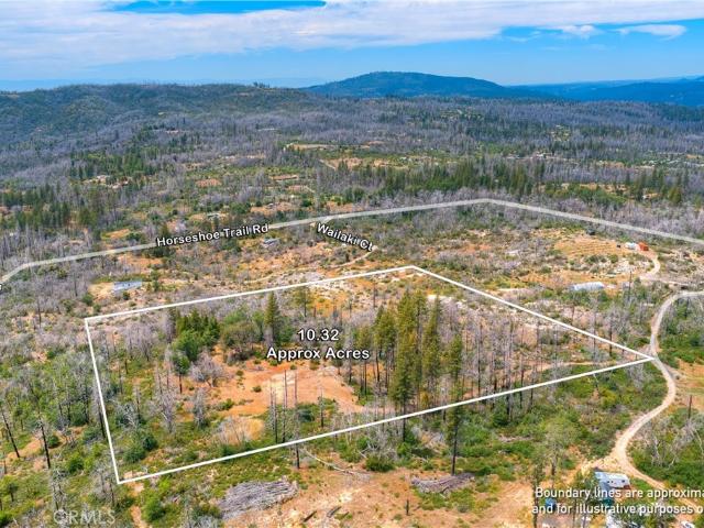 51 Horseshoe Trail