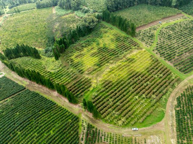 51 Lot, Pahala, HI 96777 | MLS #717735