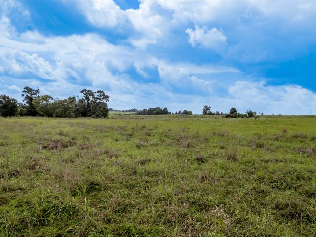 51 Northview Trail