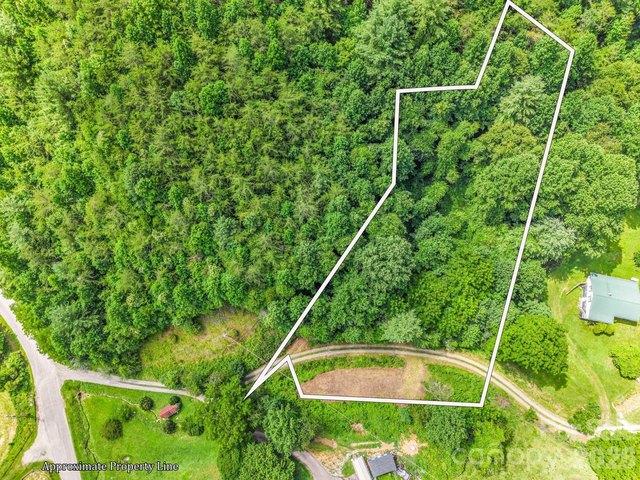 51 Orchard Park Dr, Marshall, NC 28753