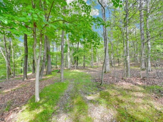 51 Paulinskill Lake Rd