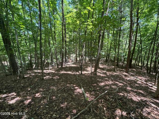 51 Pine Cove Lane