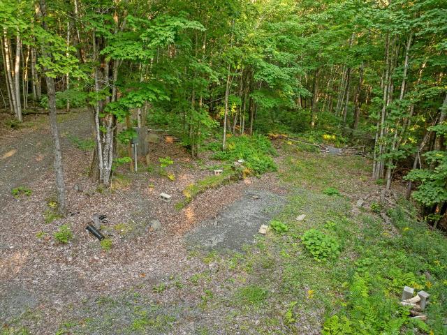 51 prospect way # 11b