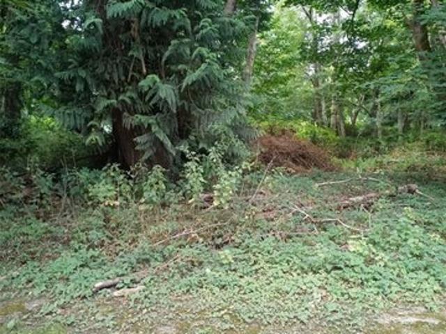 51F Saratoga Dr, Hat Island, WA 98206