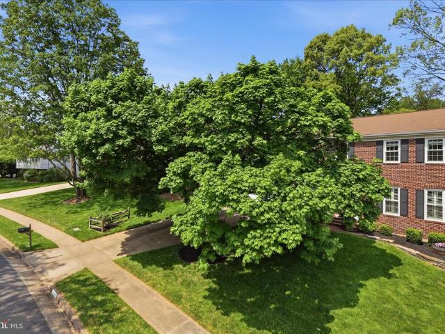5208 Ruffner Woods Court