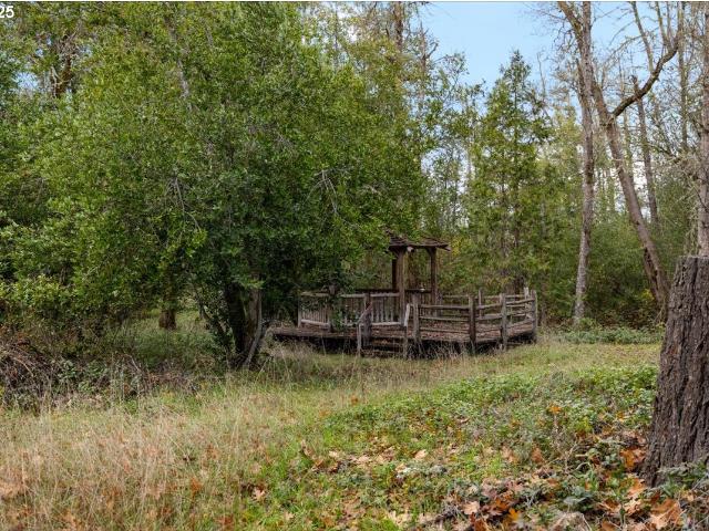 5201 Lakeshore Dr, Selma, OR 97538 | MLS #313072