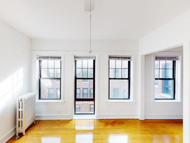 5202 5210 S. Cornell Avenue 1 Bedroom Apartment for Rent at 5202 S Cornell Ave, Chicago, IL 60615 Hyde Park