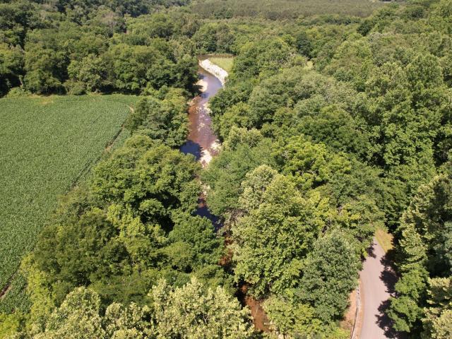 520 Bluff Rd