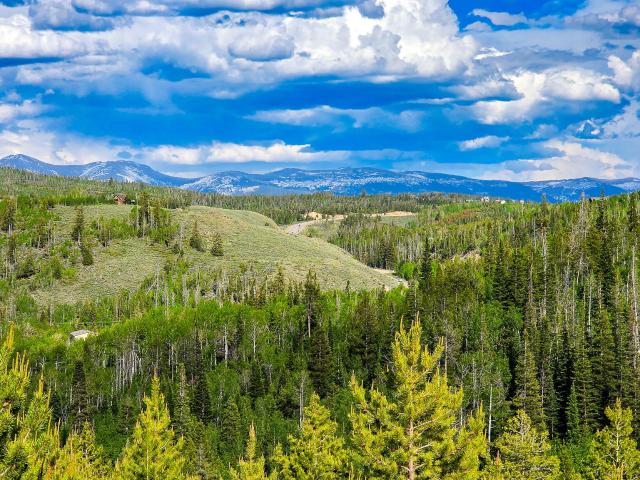 520 Gcr 52, Granby, CO 80446 | MLS #25 480