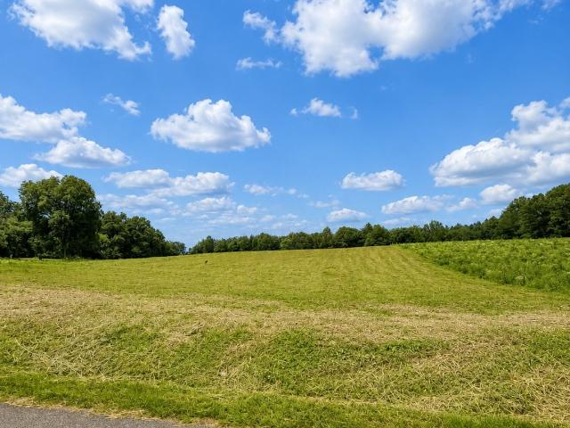 520 Ferrell Rd