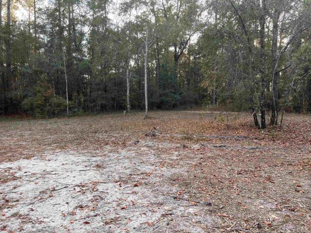 520 New Light Church Rd, Crawfordville, FL 32327 | MLS #393955