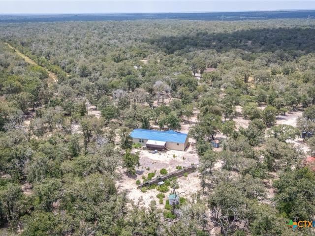 520 Turkey Tree Trail
