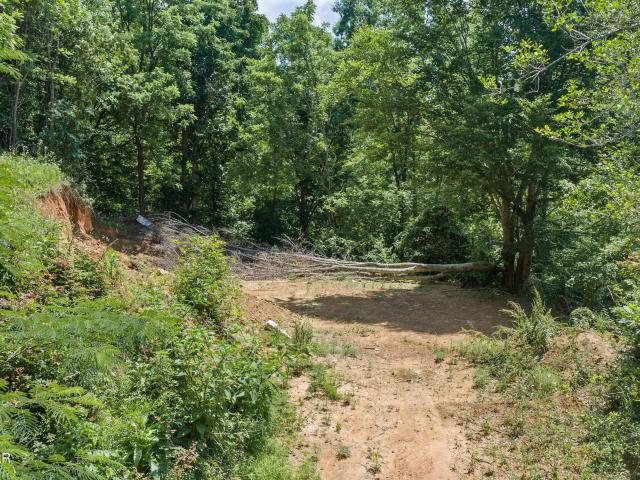 520 Verless Ogle Road