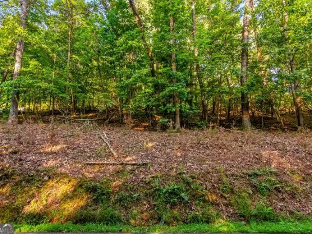520 Villa Dr, Ellijay, GA 30540 MLS 10356462