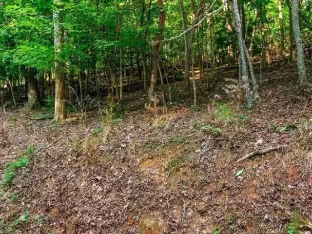 520 Villa Dr, Ellijay, GA 30540 MLS 7432892