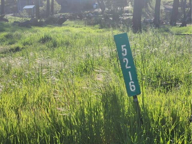 5216 Harmony Ln, Paradise, CA 95969 | MLS #SN24069