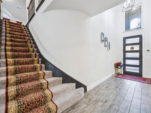 5217 Bow Lake Trail