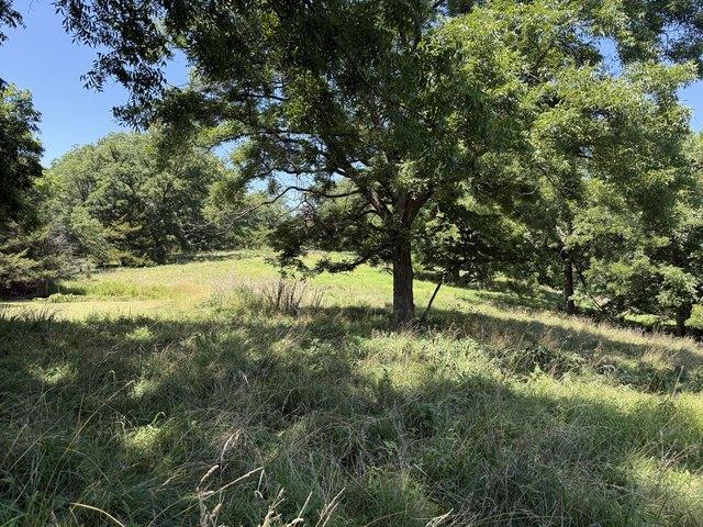 5219 Cowan Ridge Rd, Powell, MO 65730
