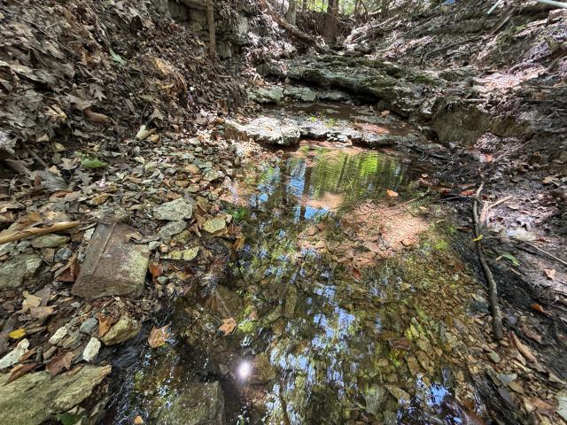 5219 Cowan Ridge Road