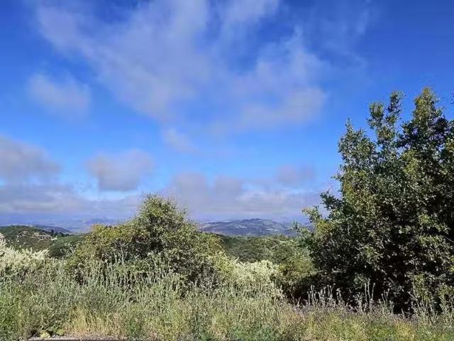 5212 Acorn Patch Road, Julian, CA 92036 645972943