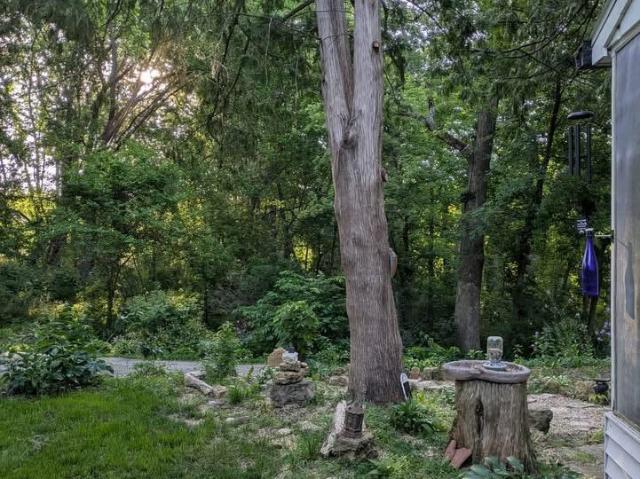 521 Cedar Creek Road