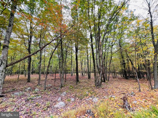 521 Hay Stack Dr, Zion Grove, PA 17985 | MLS #PASK2025 | Compass