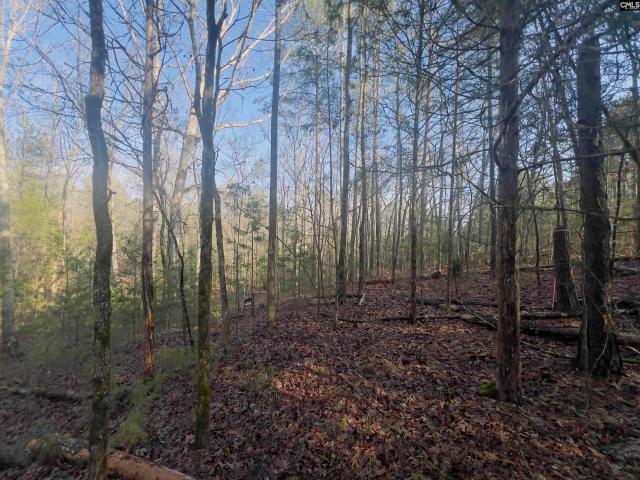 521 Mount Valley Road