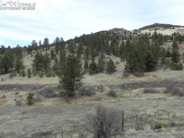 521 Monarch Dr, Cripple Creek, CO 80813 | MLS #7156